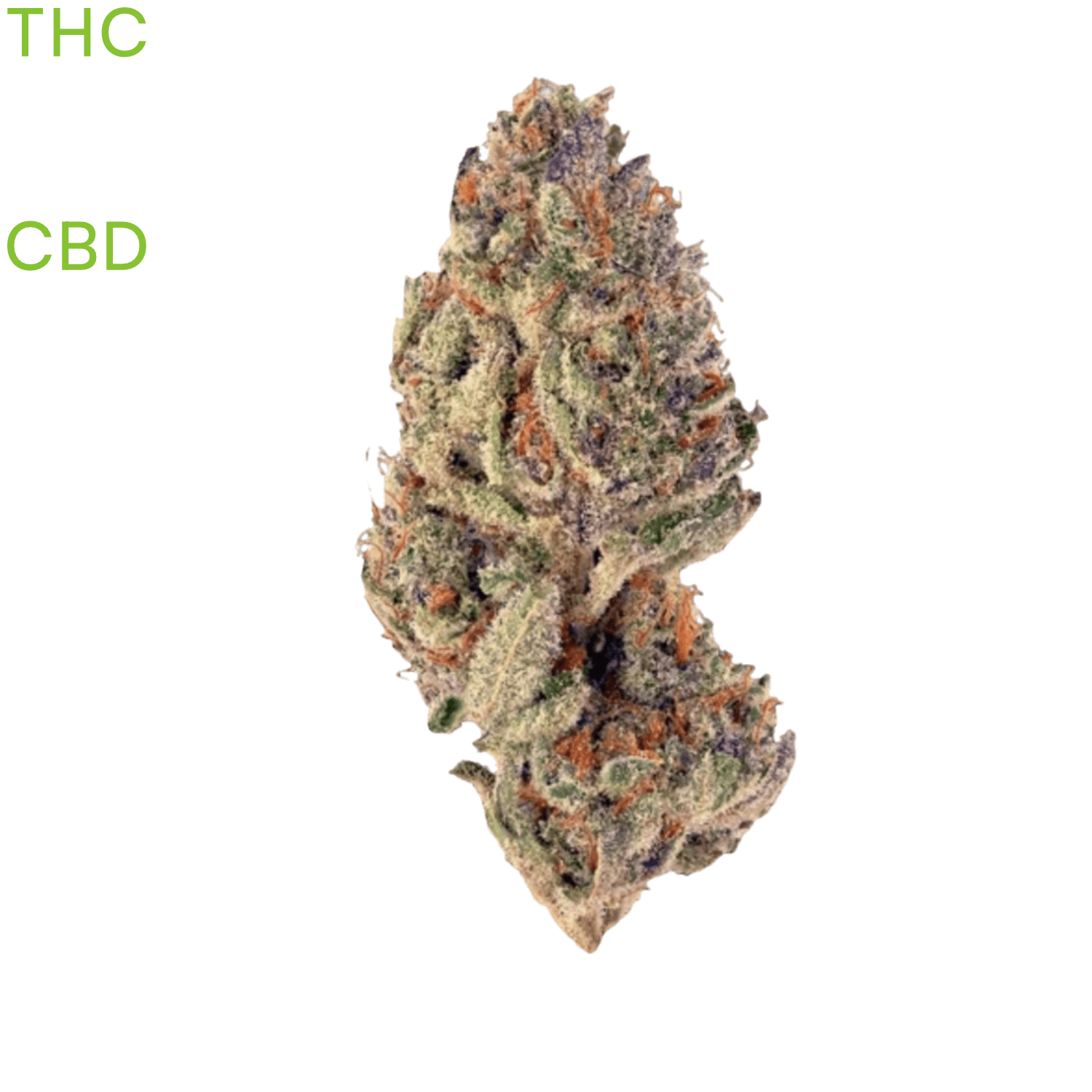 Slurricane Weed Strain Buy Online Fast Thai Weed